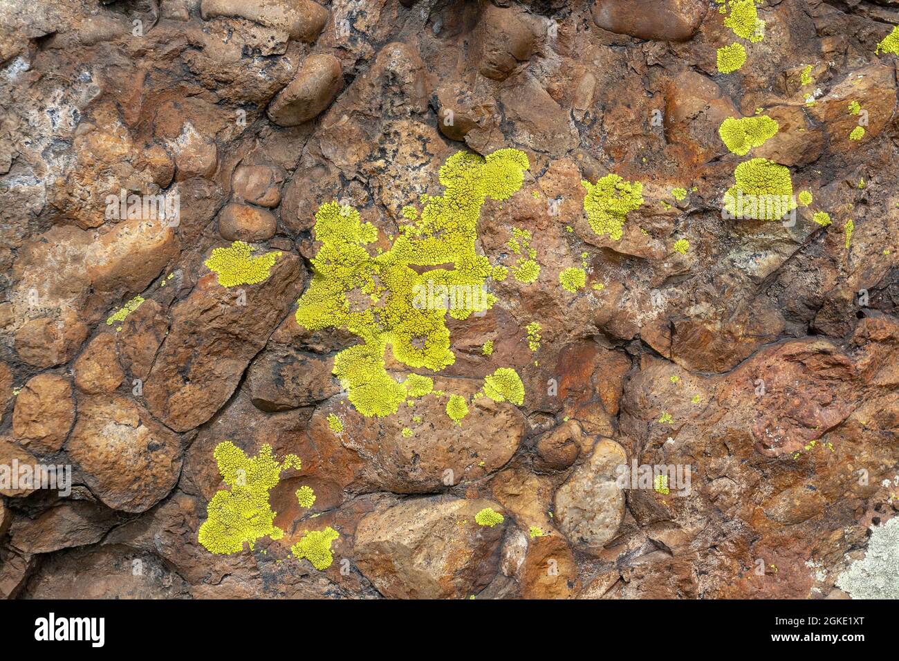 Rock slab lichens hi-res stock photography and images - Alamy