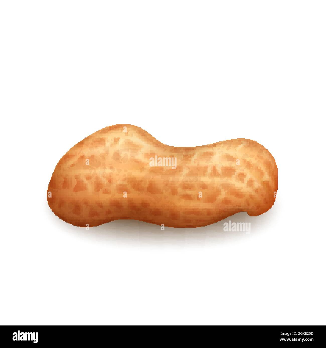 Peanut Nut In Shell Natural Nourishment Vector Stock Vector Image & Art ...