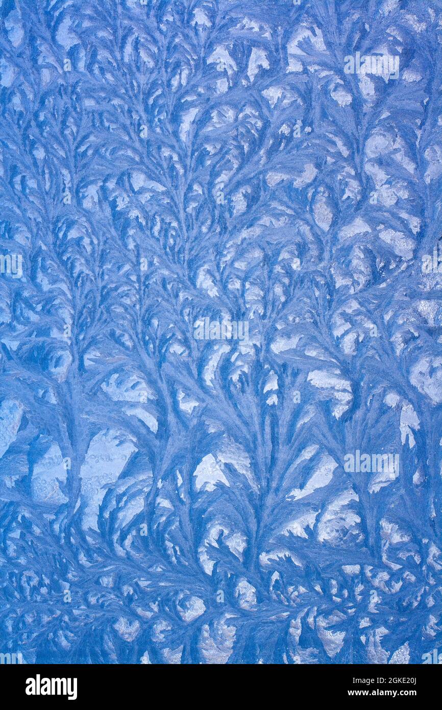 Nice frostwork. Gorgeous ice pattern on glass. Drawing on a frozen ...