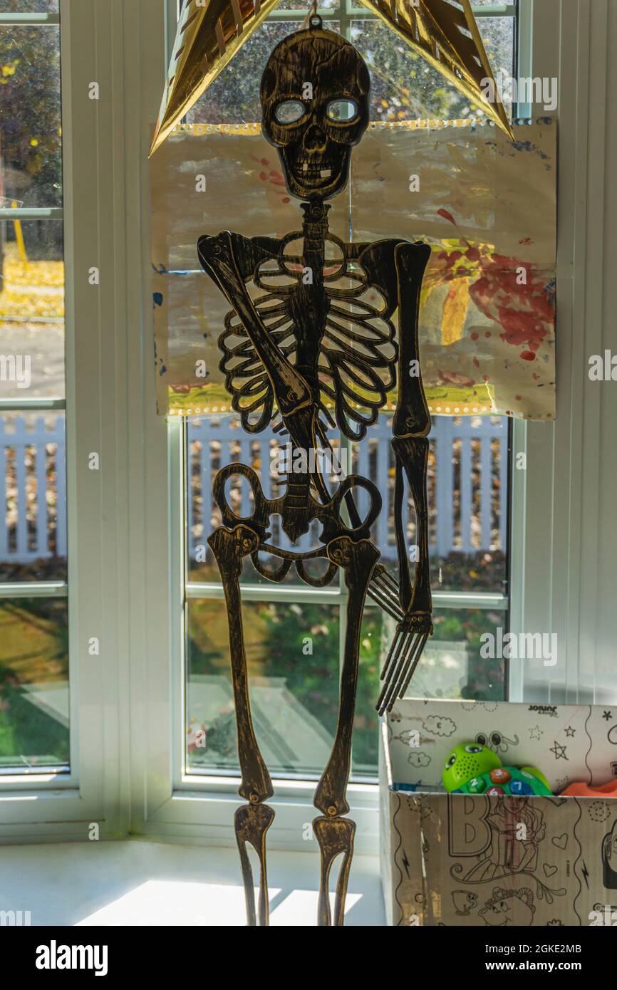 Toronto, Ontario, October 2020 - A decorative human skeleton set by a ...