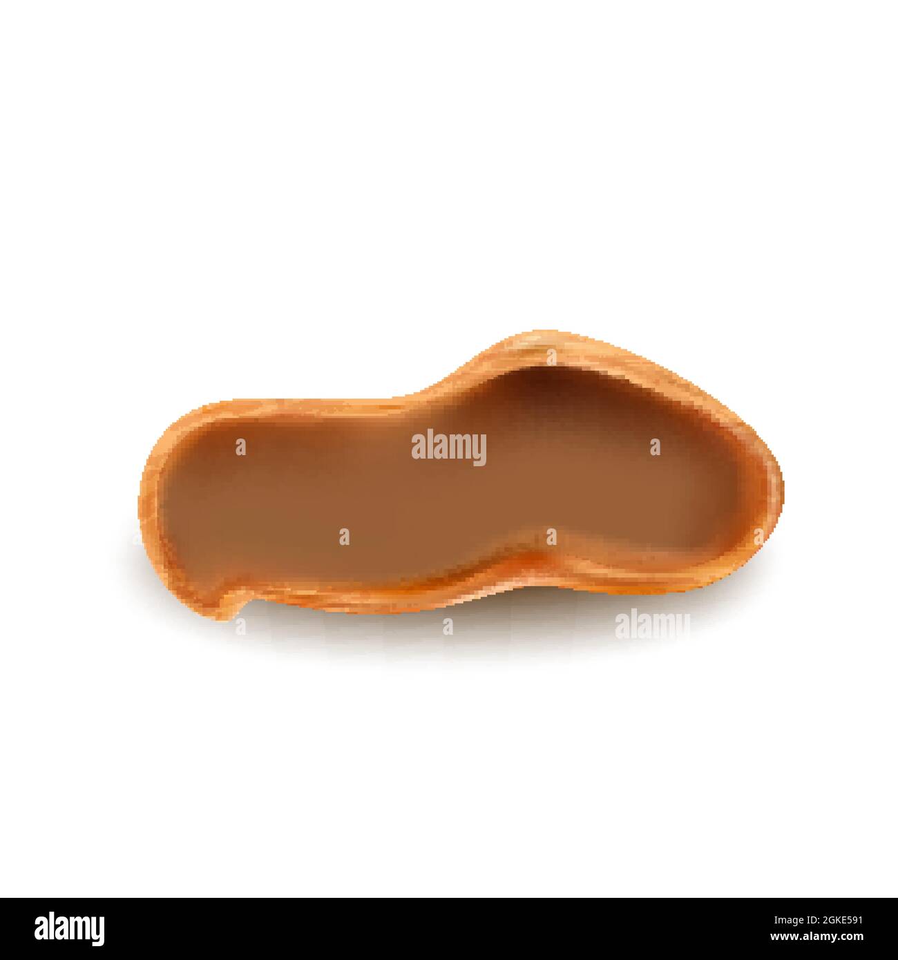 Empty nutshell Stock Vector Images - Alamy