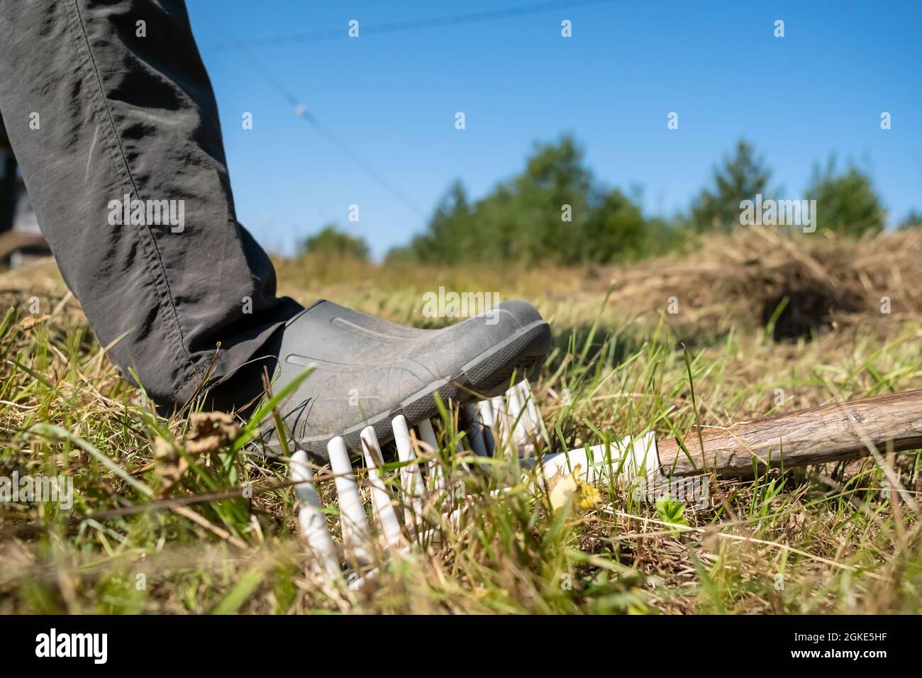 Leg careless man steps on a rake, which can lead to injury, against the ...