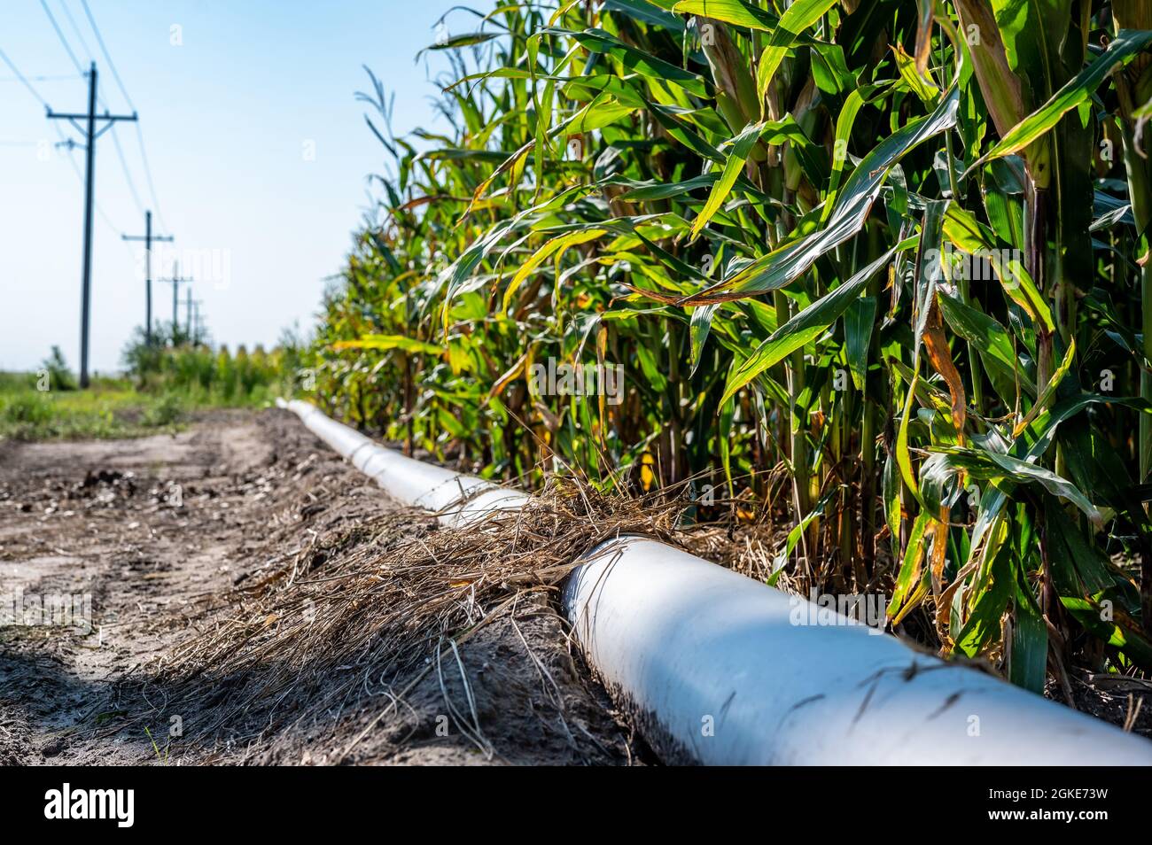 Level furrow irrigation hi-res stock photography and images - Alamy