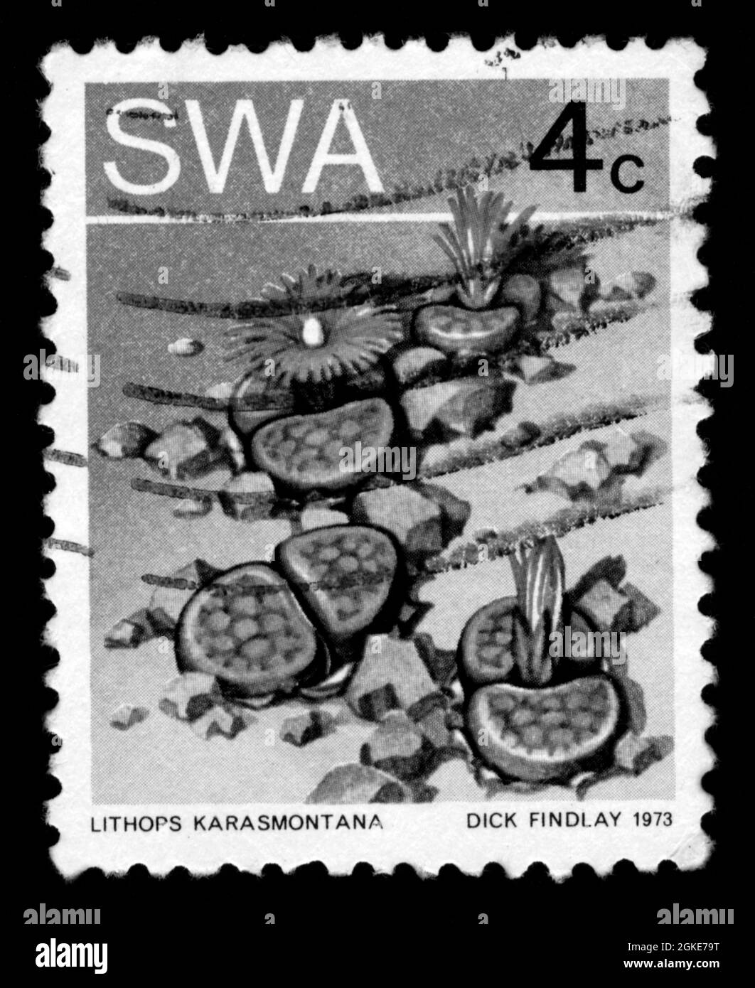South west africa postage stamp hi-res stock photography and images - Alamy