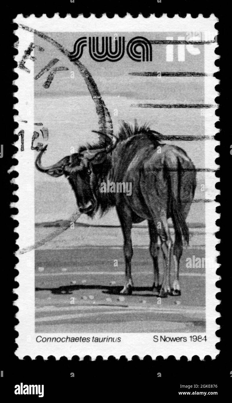 South west africa postage stamp hi-res stock photography and images - Alamy