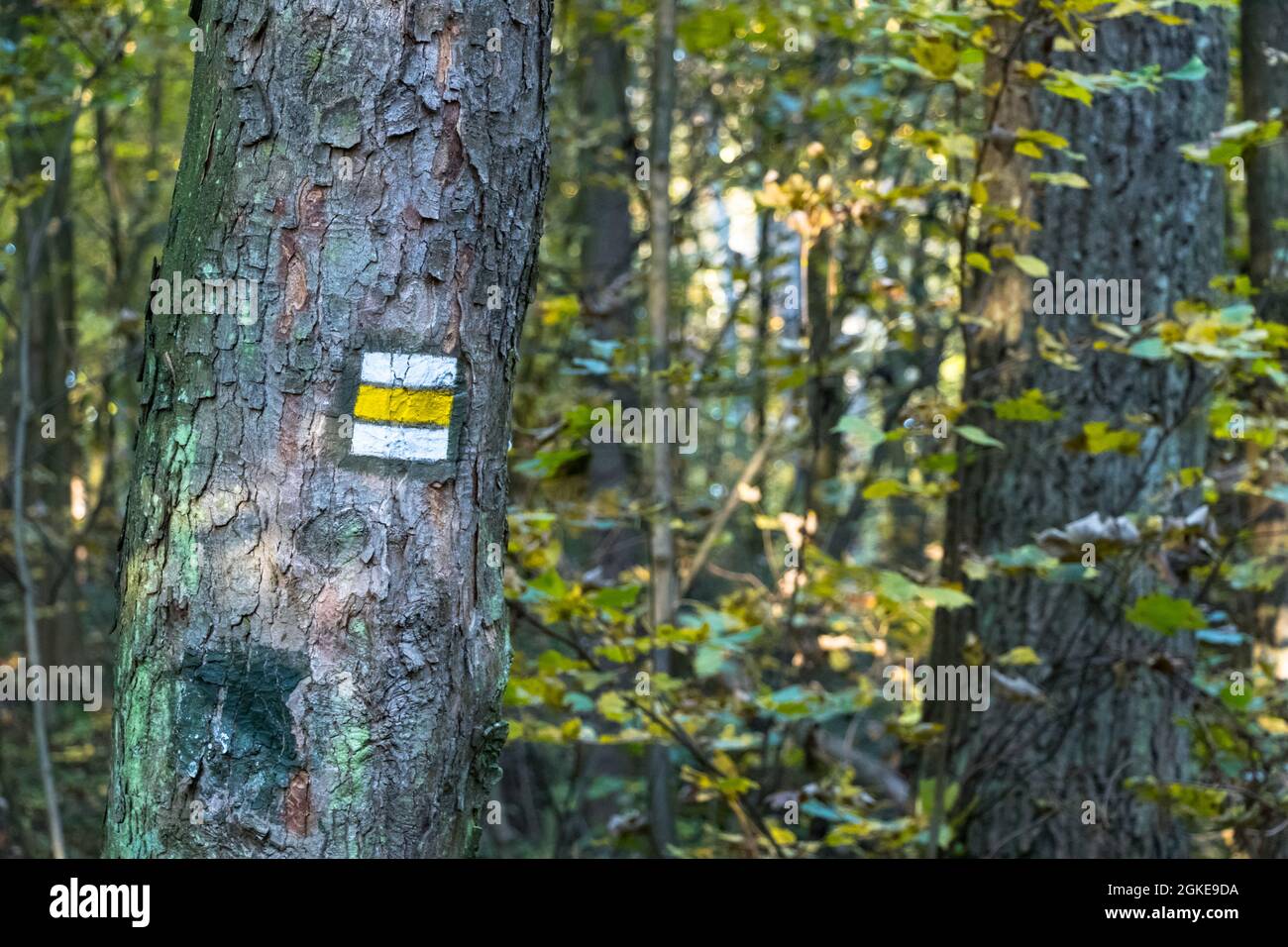 Outdoor mark marking hi-res stock photography and images - Alamy
