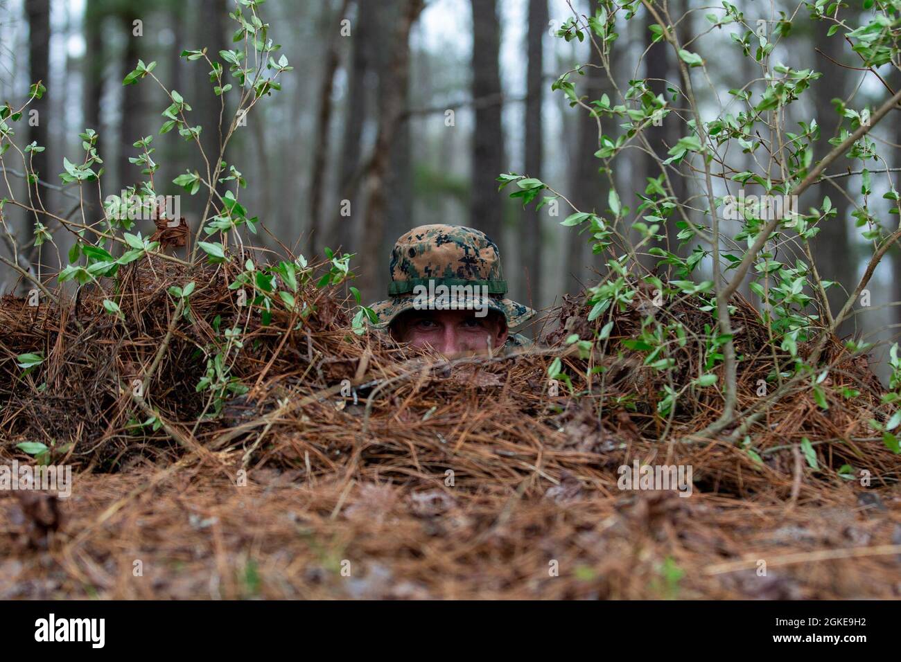 U.S. Marine Corps Capt. Travis Bird, an infantry officer with 1st ...