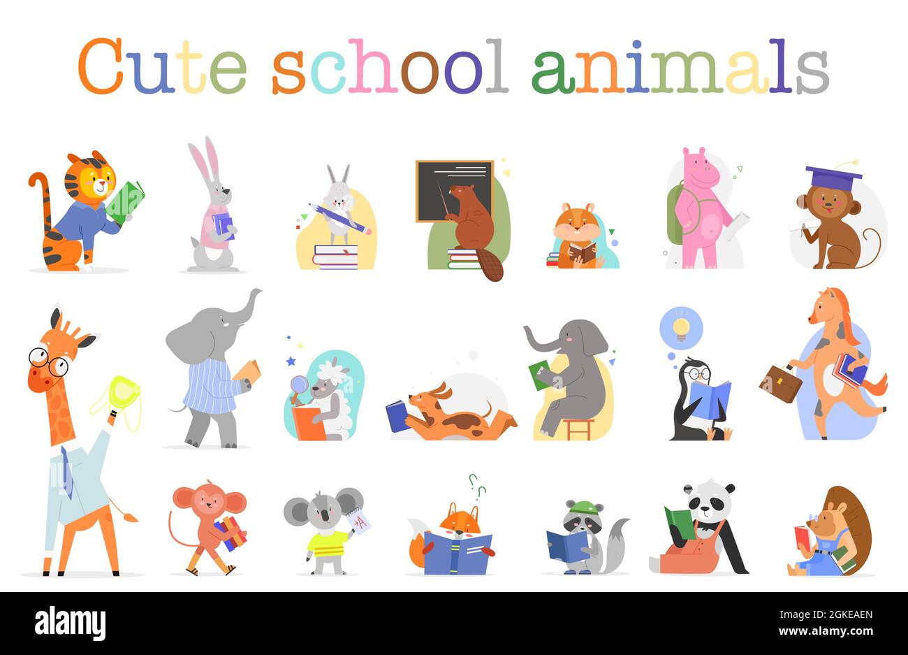 Cute Animals Studying