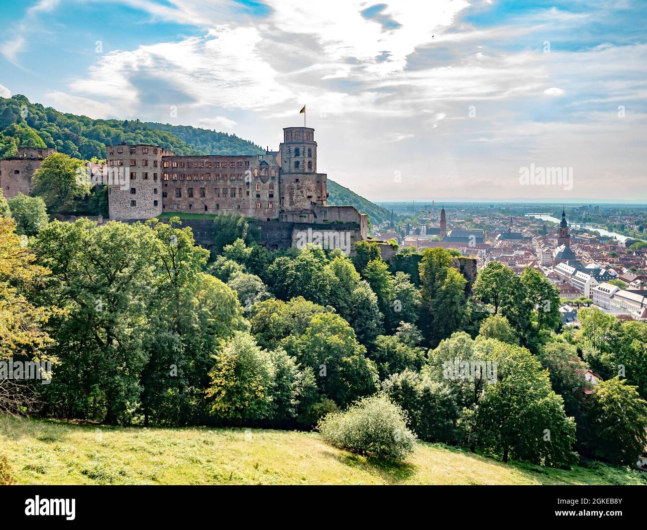 Aerial view of the Castle of Heidelberg, Germany Stock Photo - Alamy