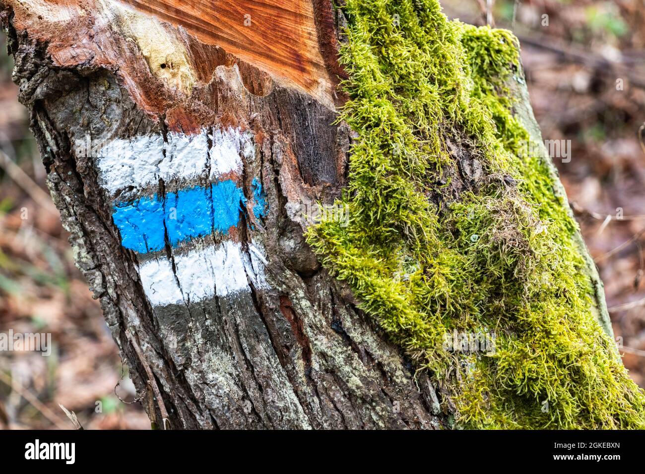 Outdoor mark marking hi-res stock photography and images - Alamy