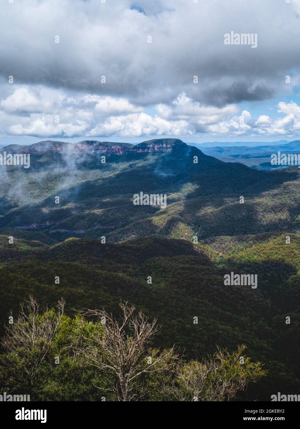 Bushland in national park hi-res stock photography and images - Alamy