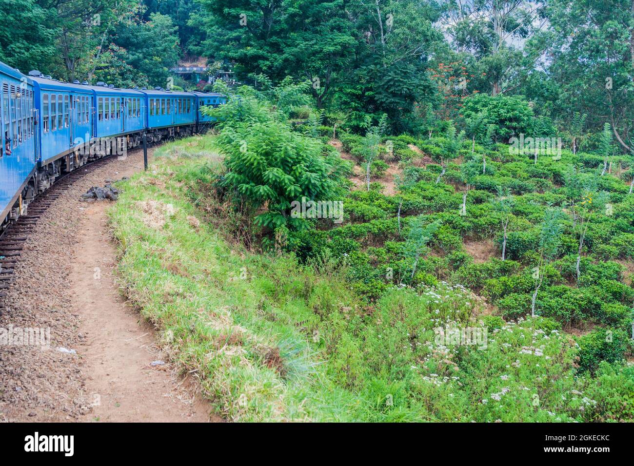 Local train rides through mountains near Bandarawela, Sri Lanka Stock ...
