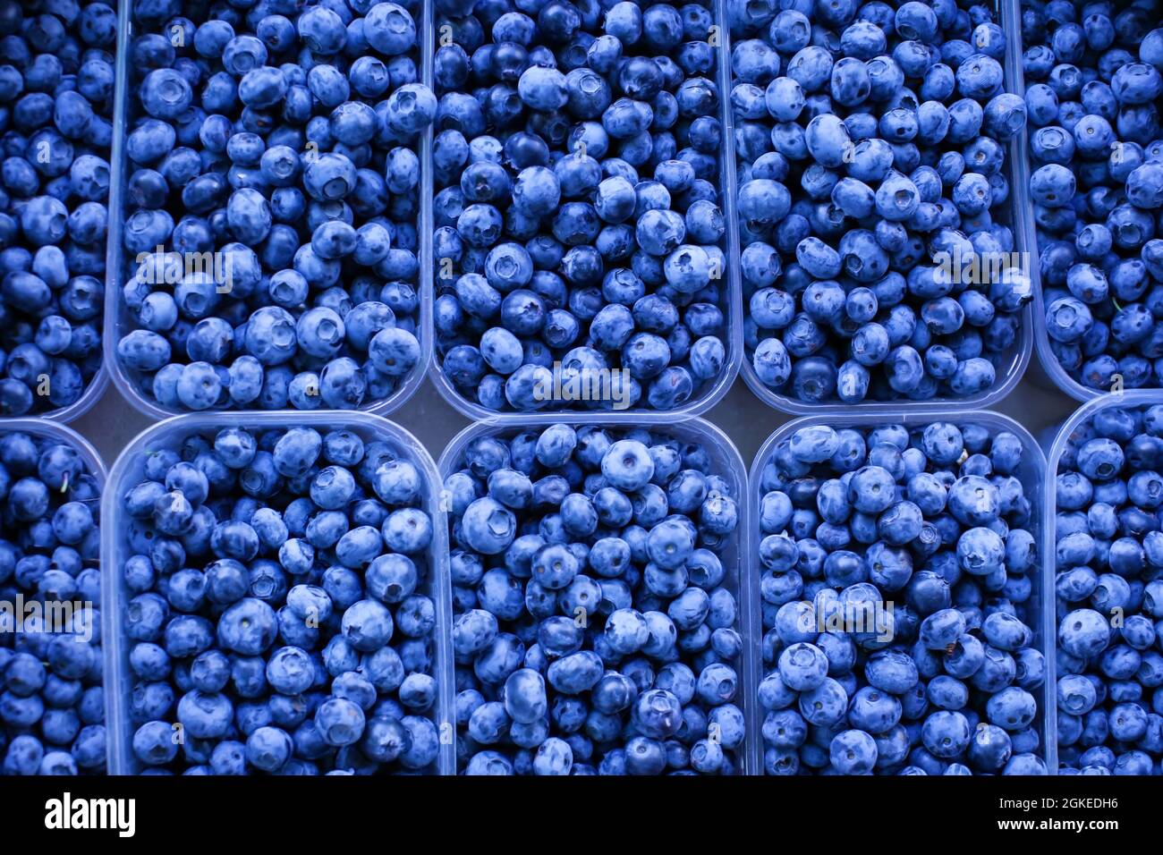 Delicious blueberries in plastic containers Stock Photo - Alamy