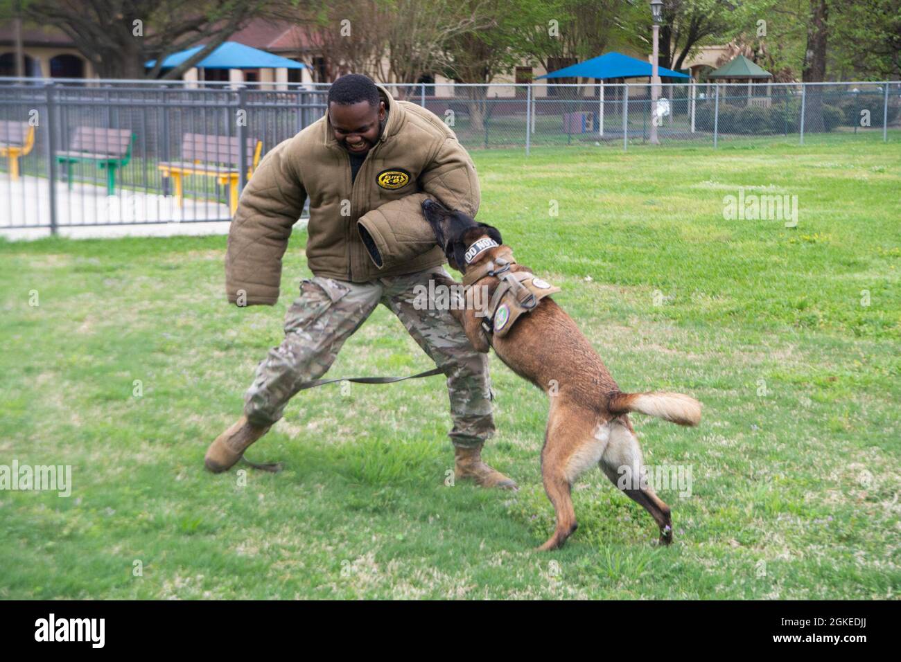 An airman from the 2nd Security Forces squadron participates in a K9 ...