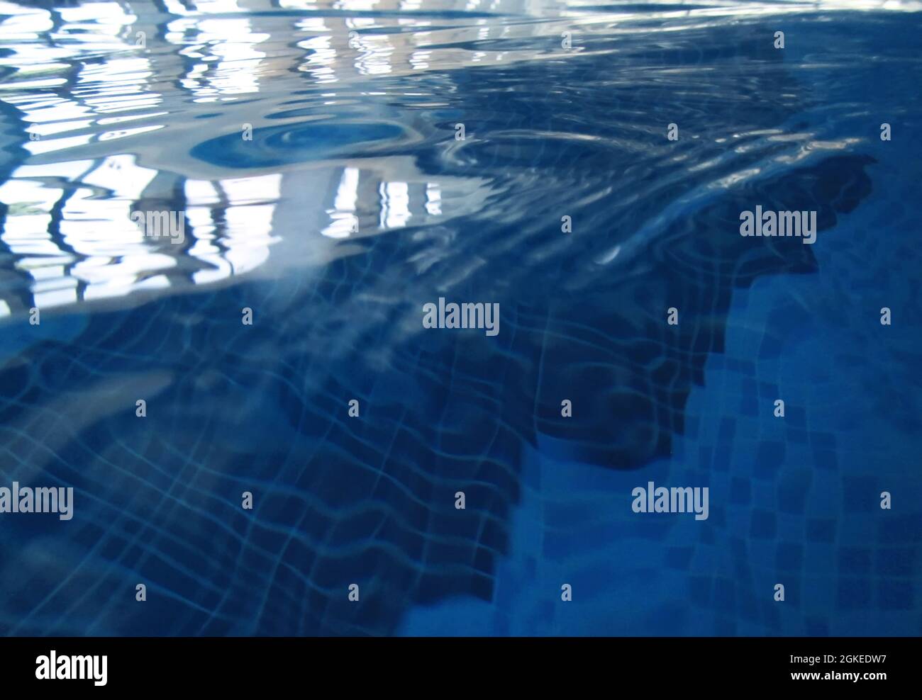 Blue clean water in swimming pool Stock Photo - Alamy
