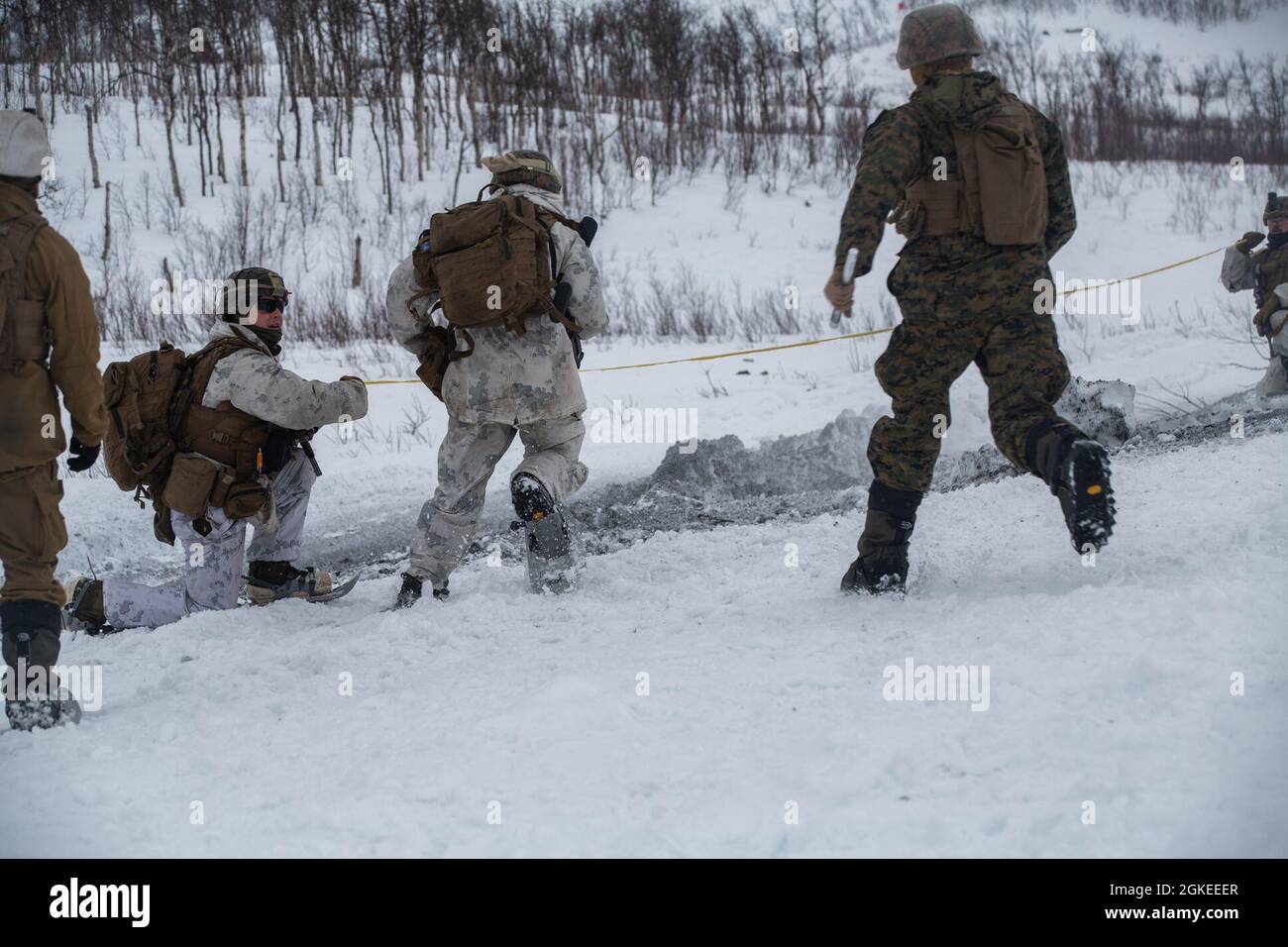 Exercise arctic littoral strike hi-res stock photography and images - Alamy
