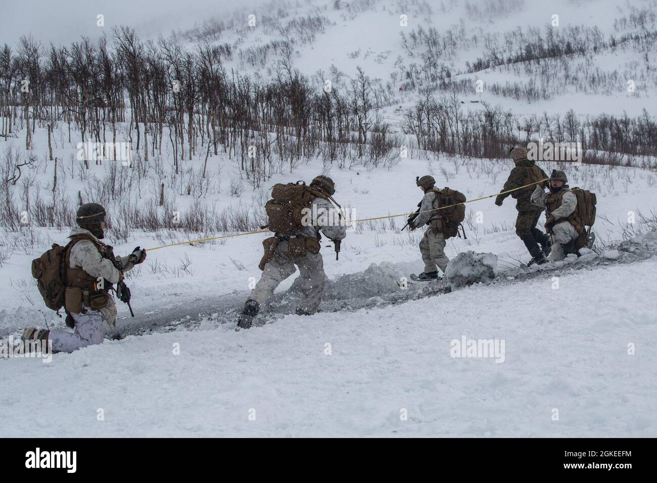 Littoral exercise 1 hi-res stock photography and images - Alamy