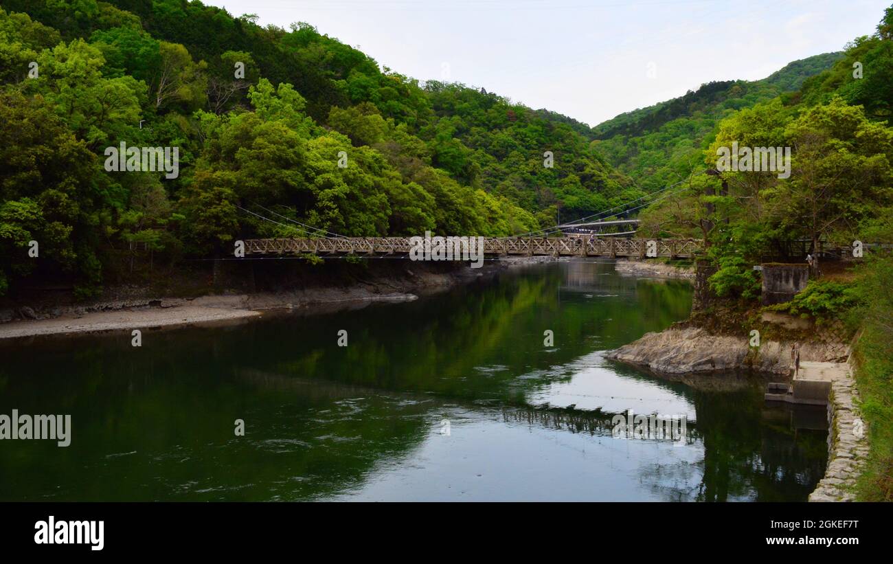 Water stream surrounded by forests in Arashiyama nature, Japan Stock ...