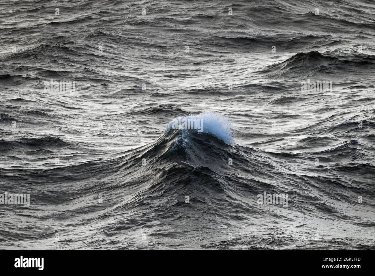 Single wave with spray on high sea, North Sea Stock Photo - Alamy