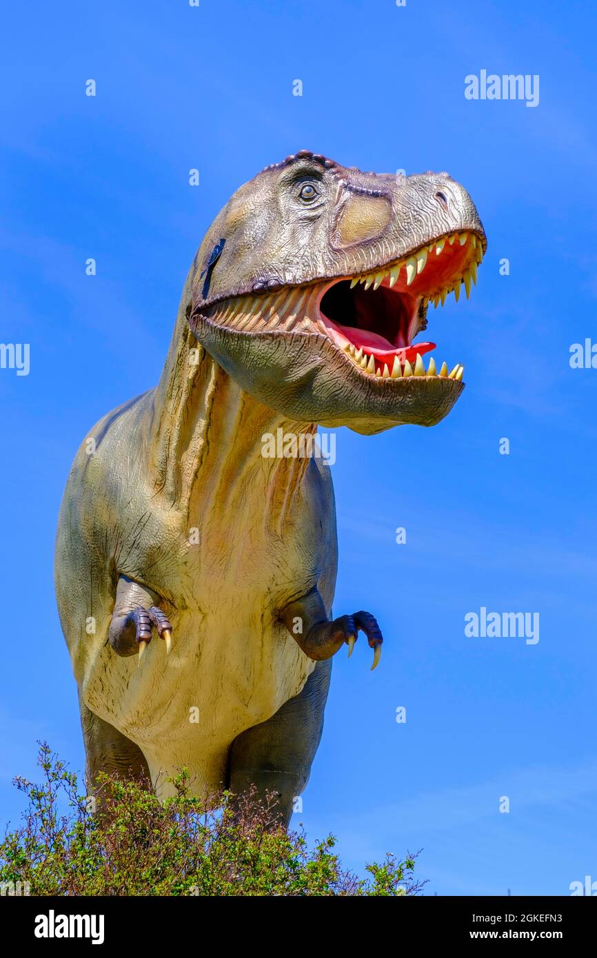 Tyrannosaurus rex, Dinosaur Museum, Dinopark Altmuehltal, near ...