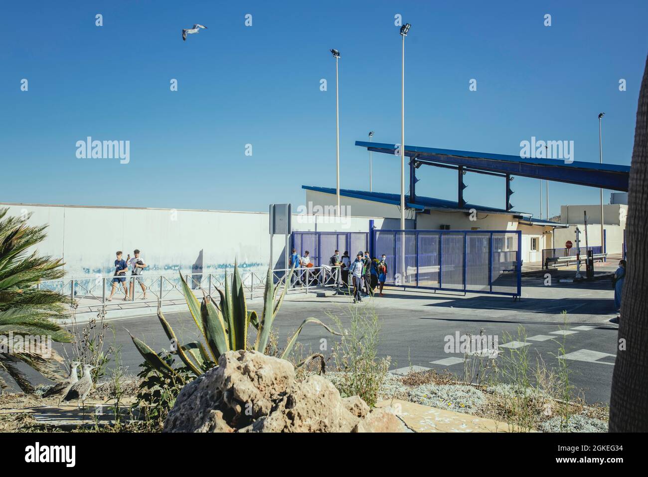 Immigration border crossing hi-res stock photography and images - Alamy