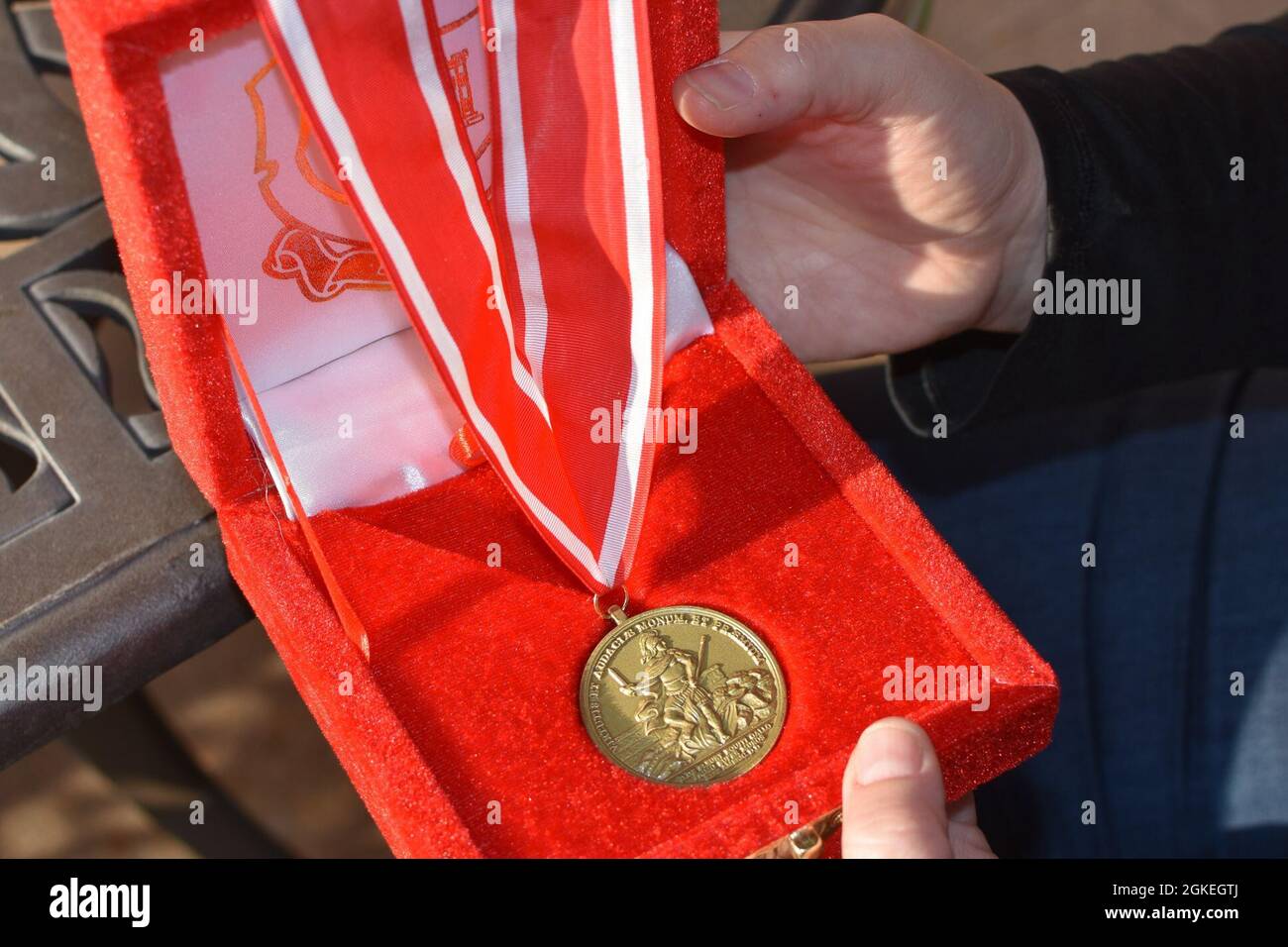 Bronze de fleury medal hi-res stock photography and images - Alamy