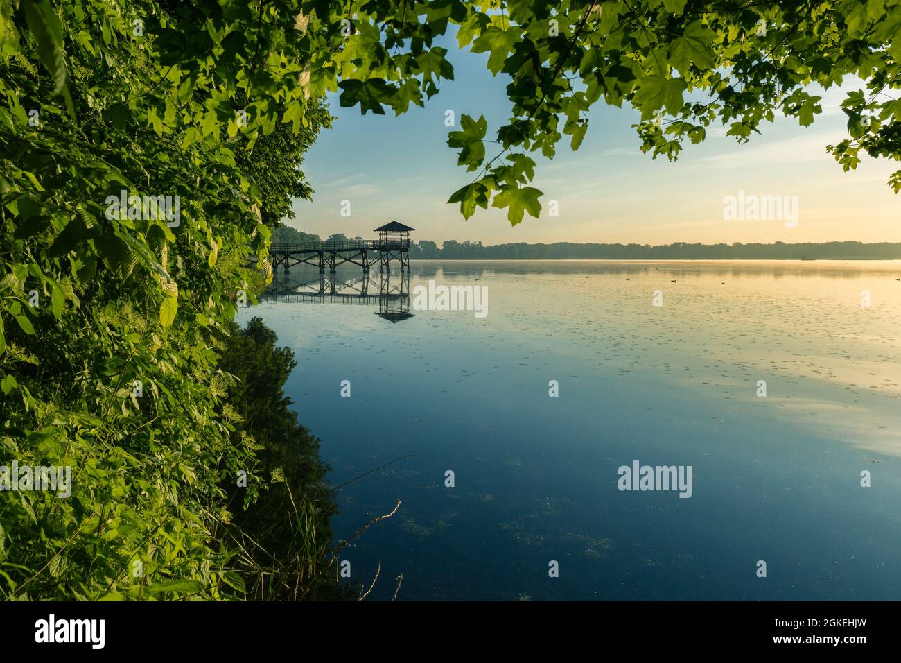 Over water observation deck hi-res stock photography and images - Alamy