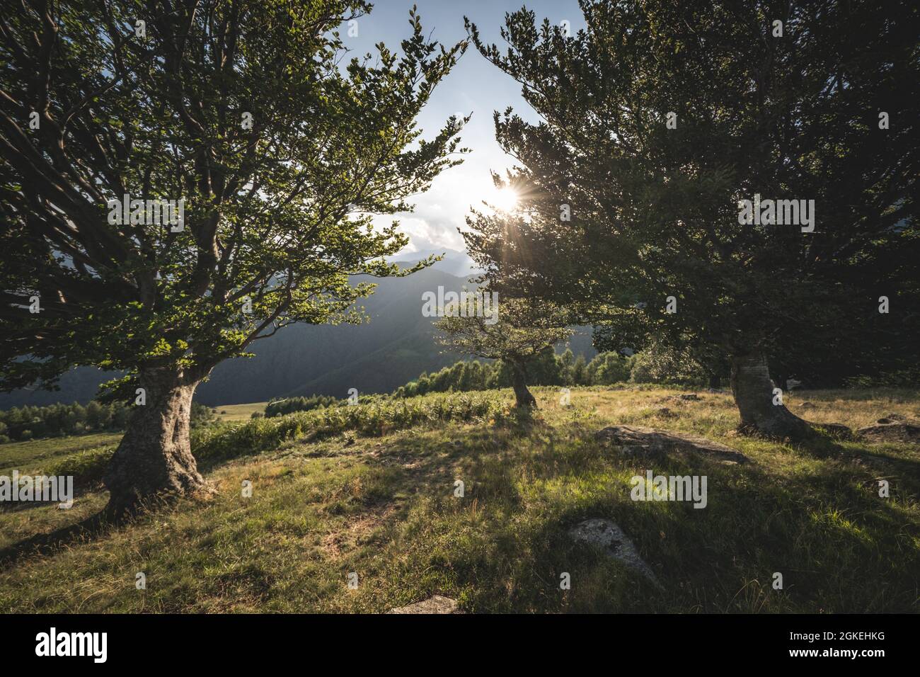 Beautiful hill surrounded by a mountain range under the daylight sky ...