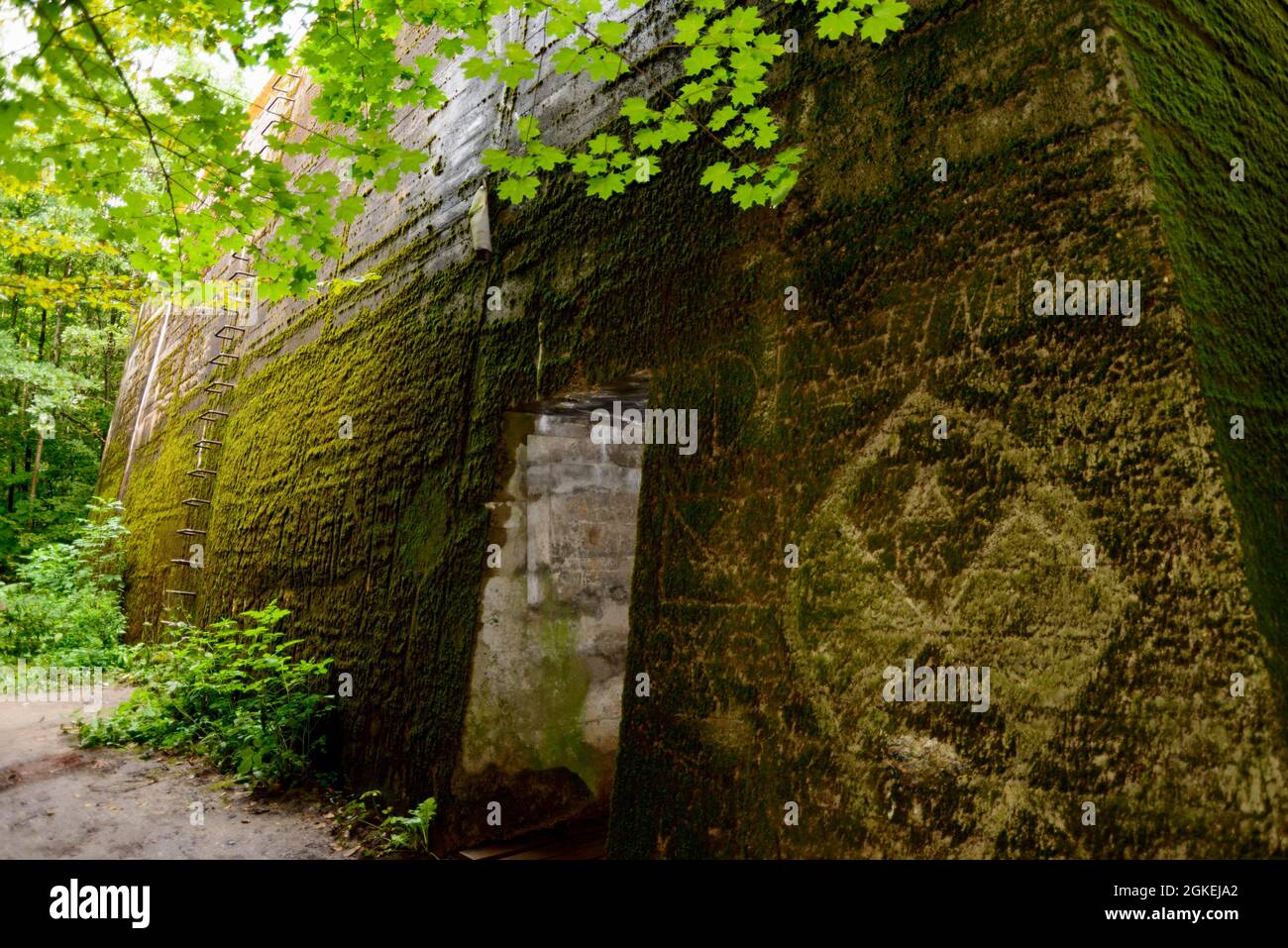 Bunker, Forest settlement, Mamerki, Wegorzewo, Warmia-Masuria, Wall ...