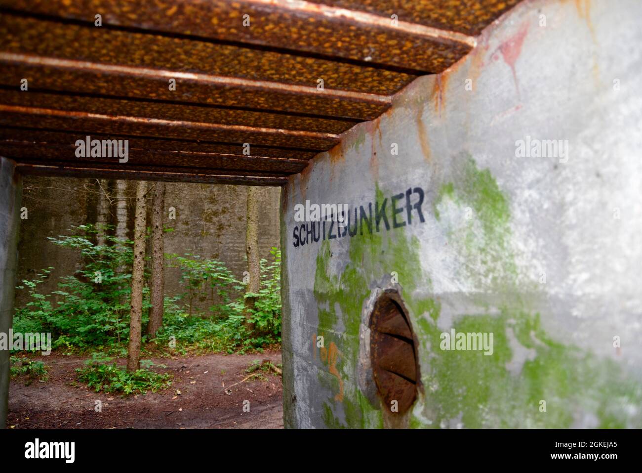 Bunker, Forest settlement, Mamerki, Wegorzewo, Warmia-Masuria, Wall ...