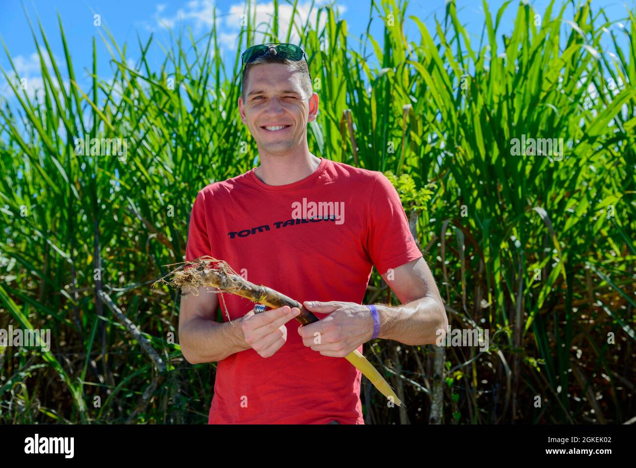 Young man with sugar cane, Caribbean, America, Dominican Republic Stock ...