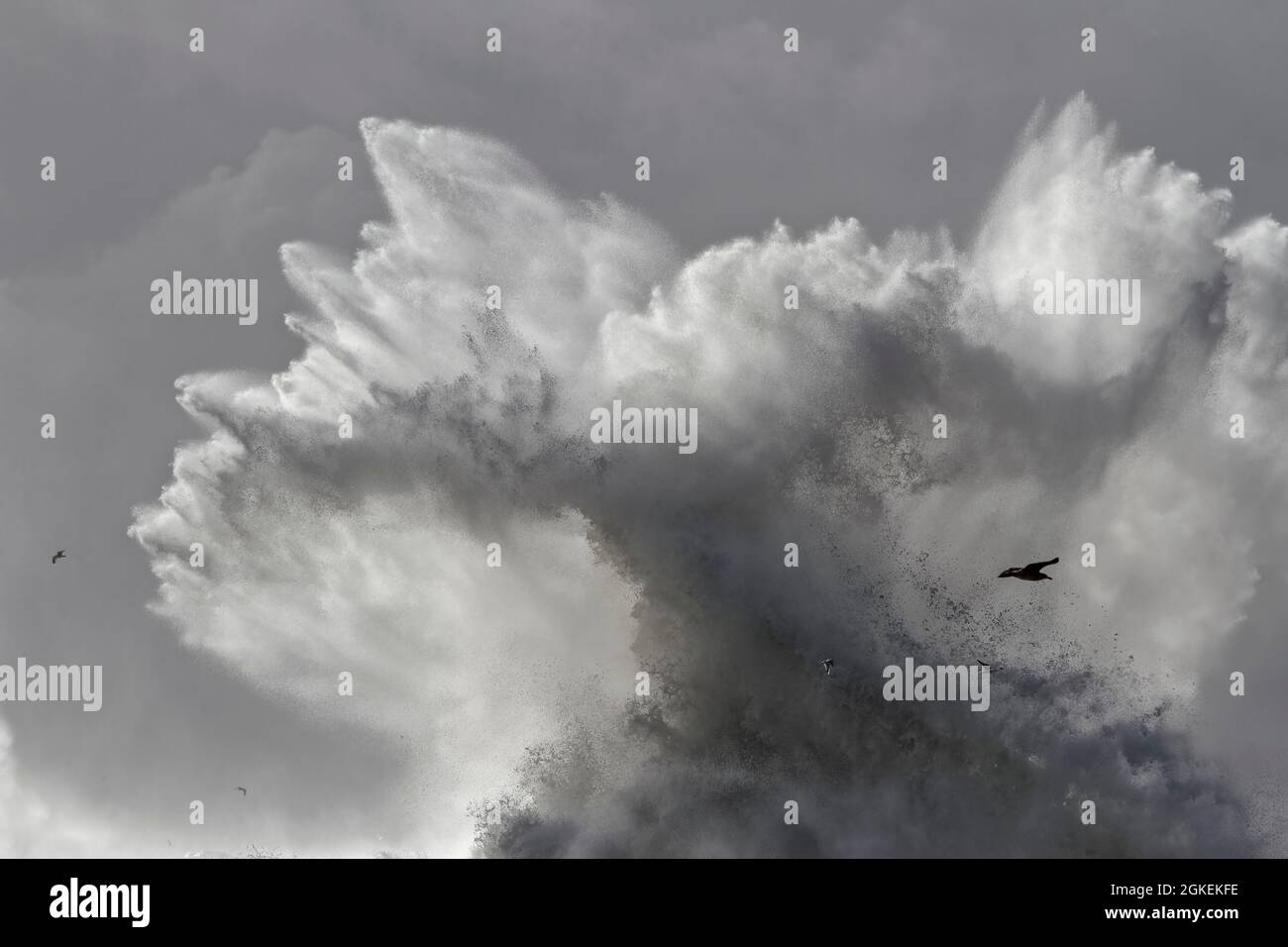 Big stormy sea wave splash Stock Photo - Alamy
