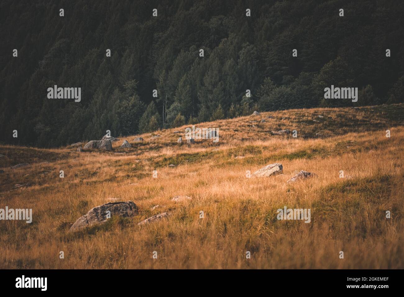 Large field surrounded by hills and mountains with tree Stock Photo - Alamy