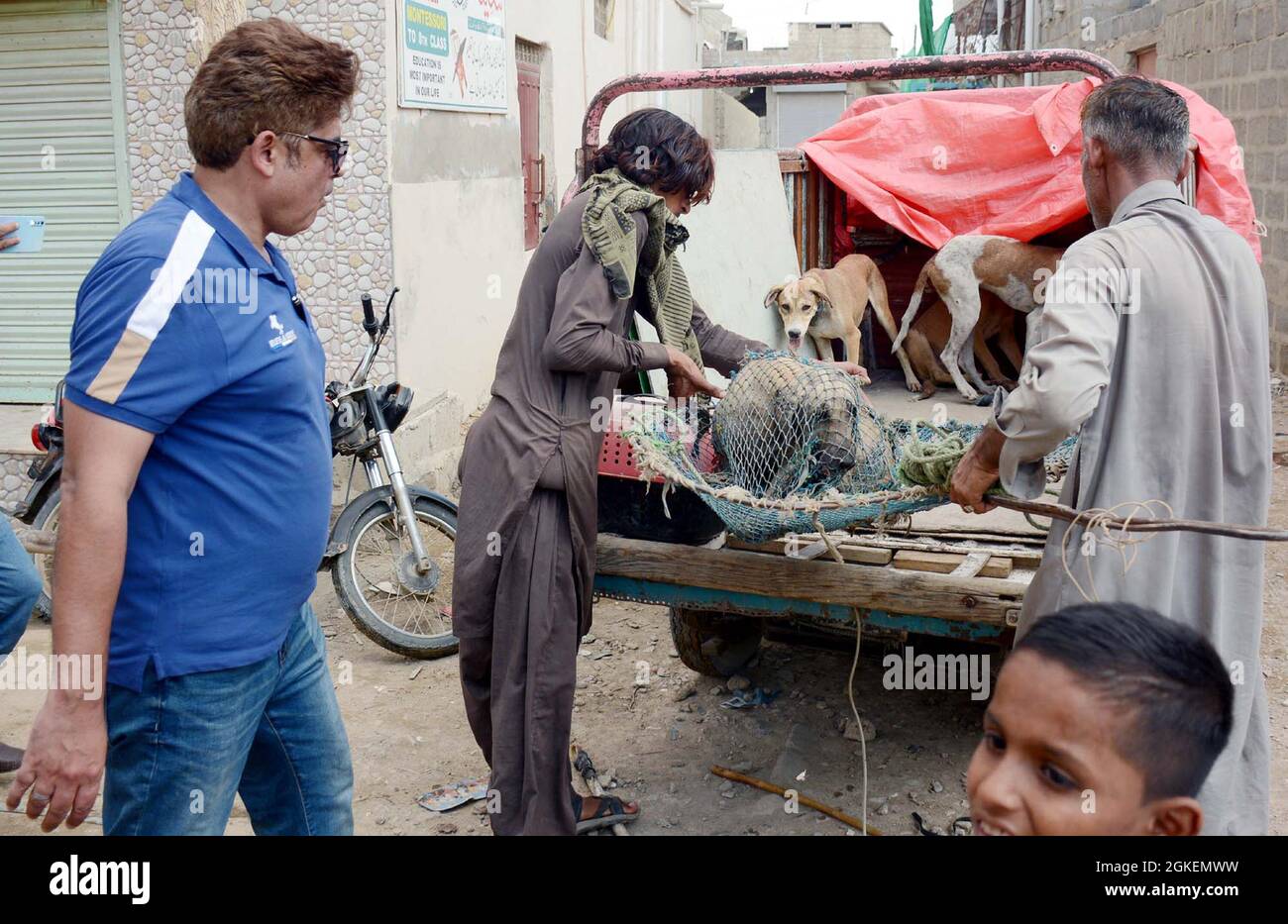Workers of Insan Dost Social Organization busy in catching stray dogs ...
