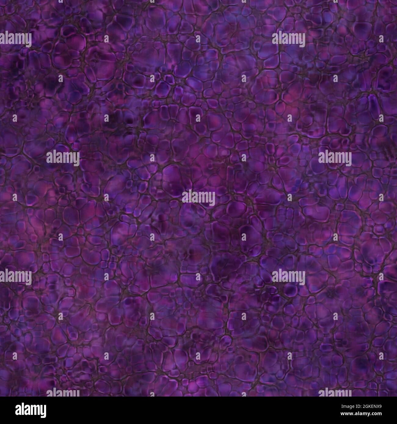 Cartoon seamless texture of color fantasy cobble stone ground pavement ...