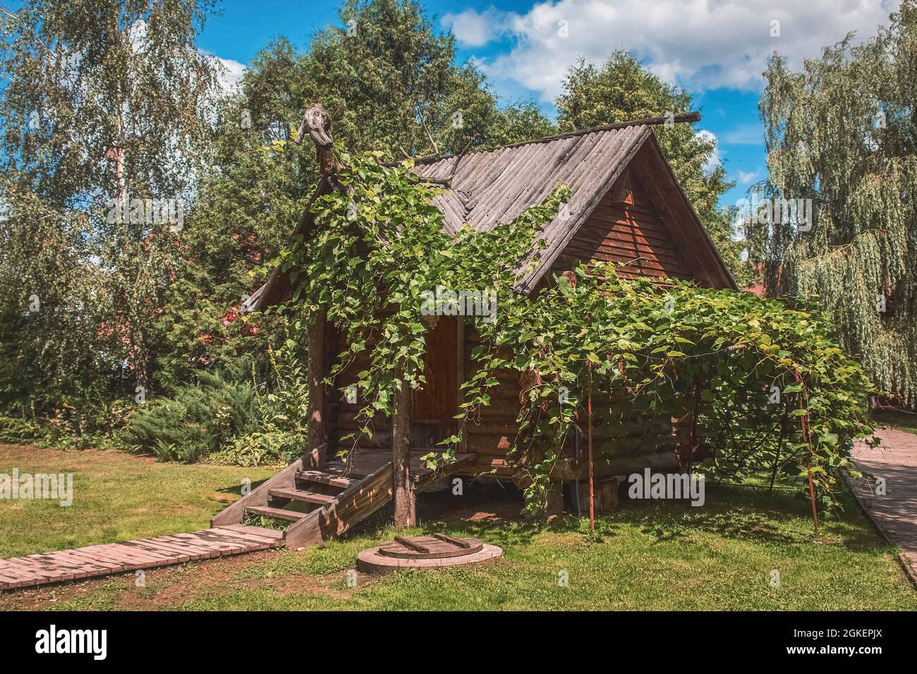 Facade of a small wooden house in a park covered with grapevine Stock ...