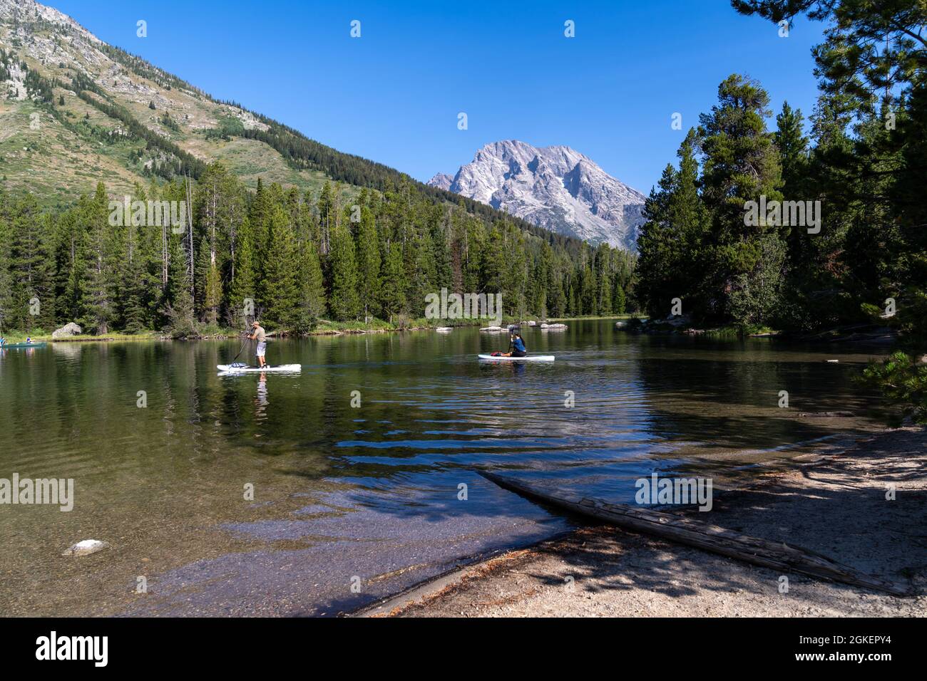 Stand up paddlebards hi-res stock photography and images - Alamy
