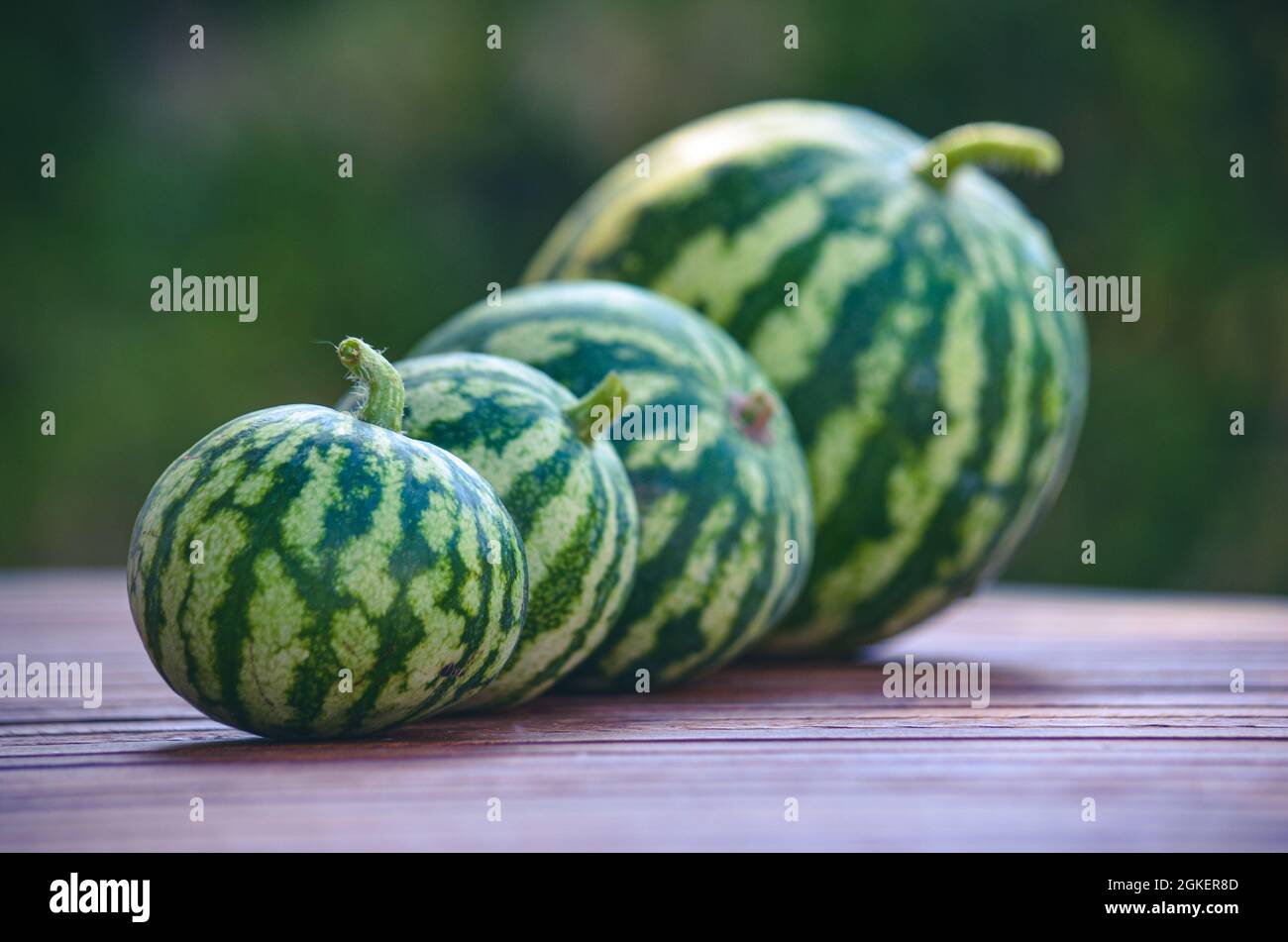 smallest to largest Stock Photo - Alamy