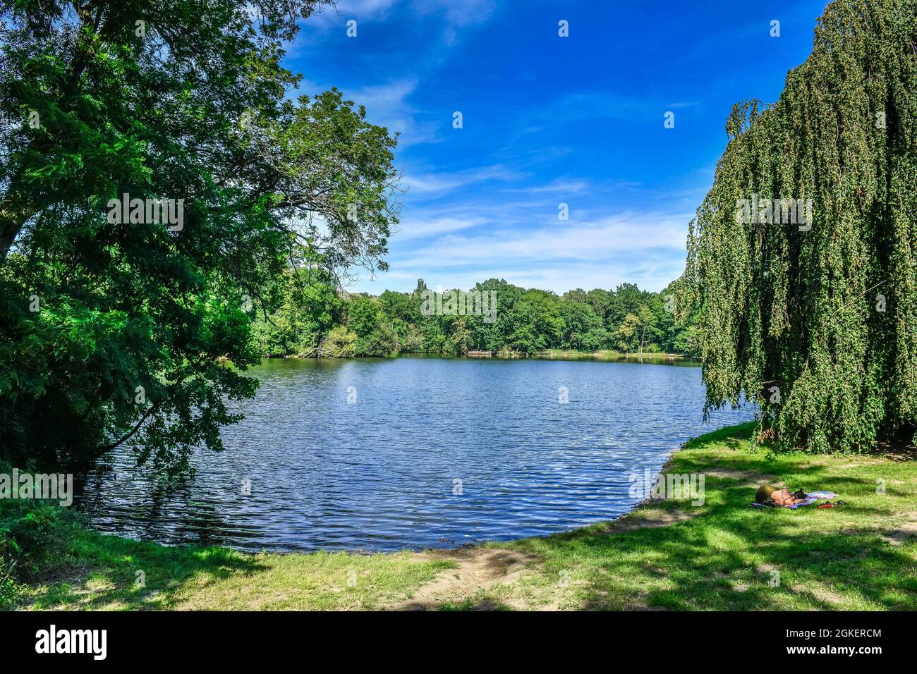 Carp Pond, Treptower Park, Treptow, Treptow-Koepenick, Berlin, Germany ...