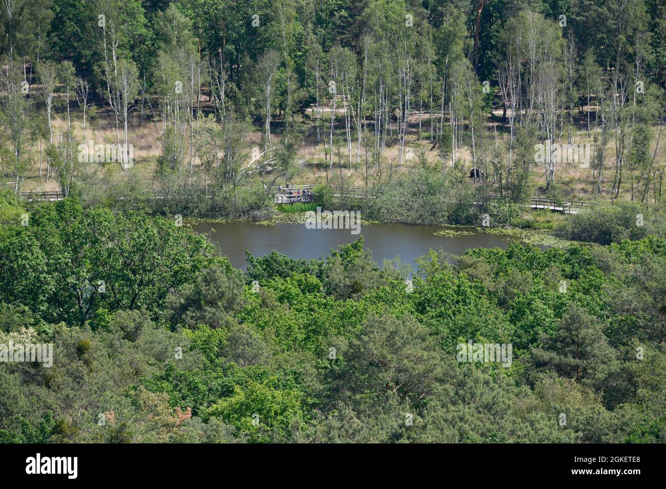 Teufelssee, Koepenick, Treptow-Koepenick, Berlin, Mueggelberge, Germany ...