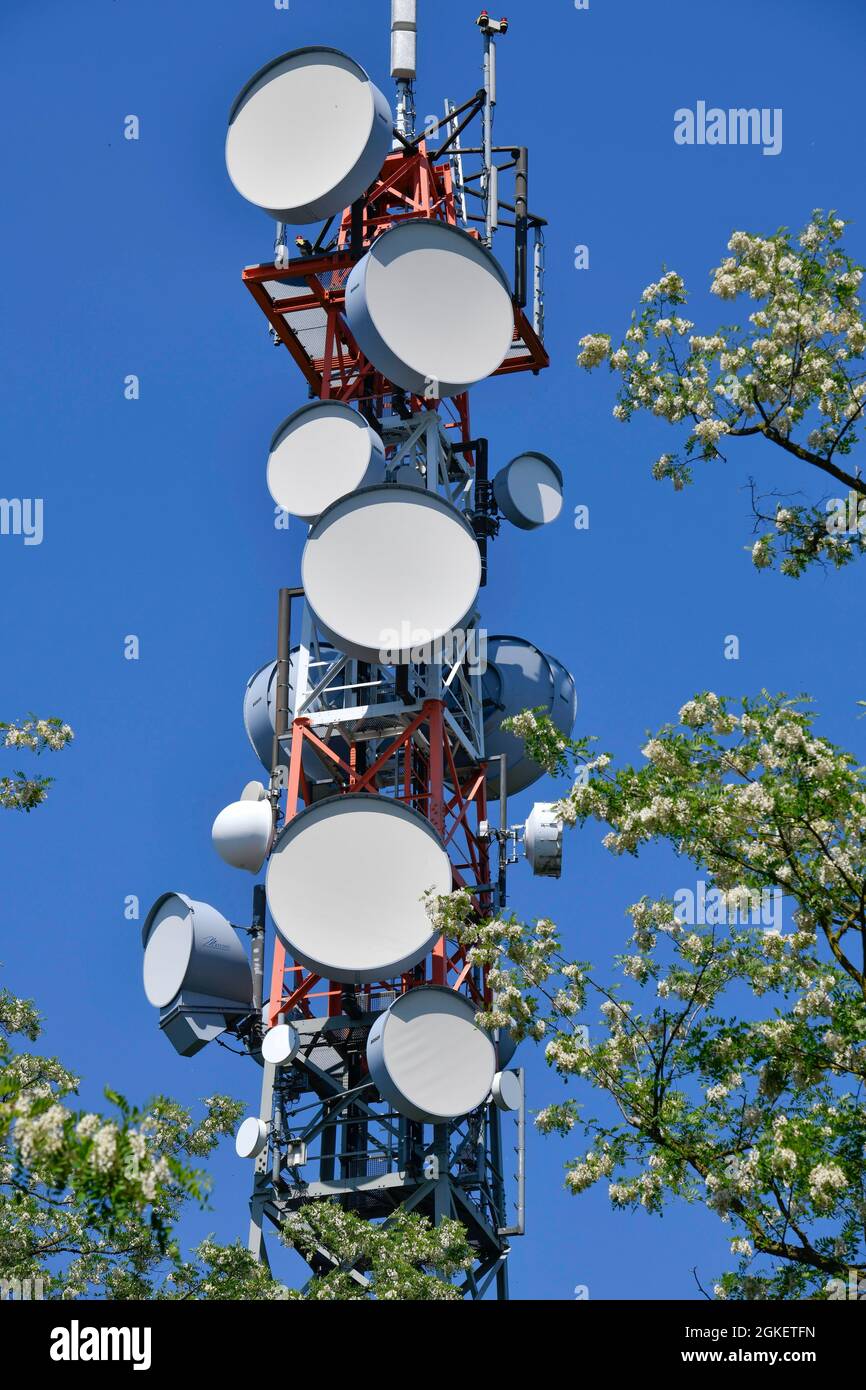 Radio relay transmission mast at the television tower Mueggelberge ...