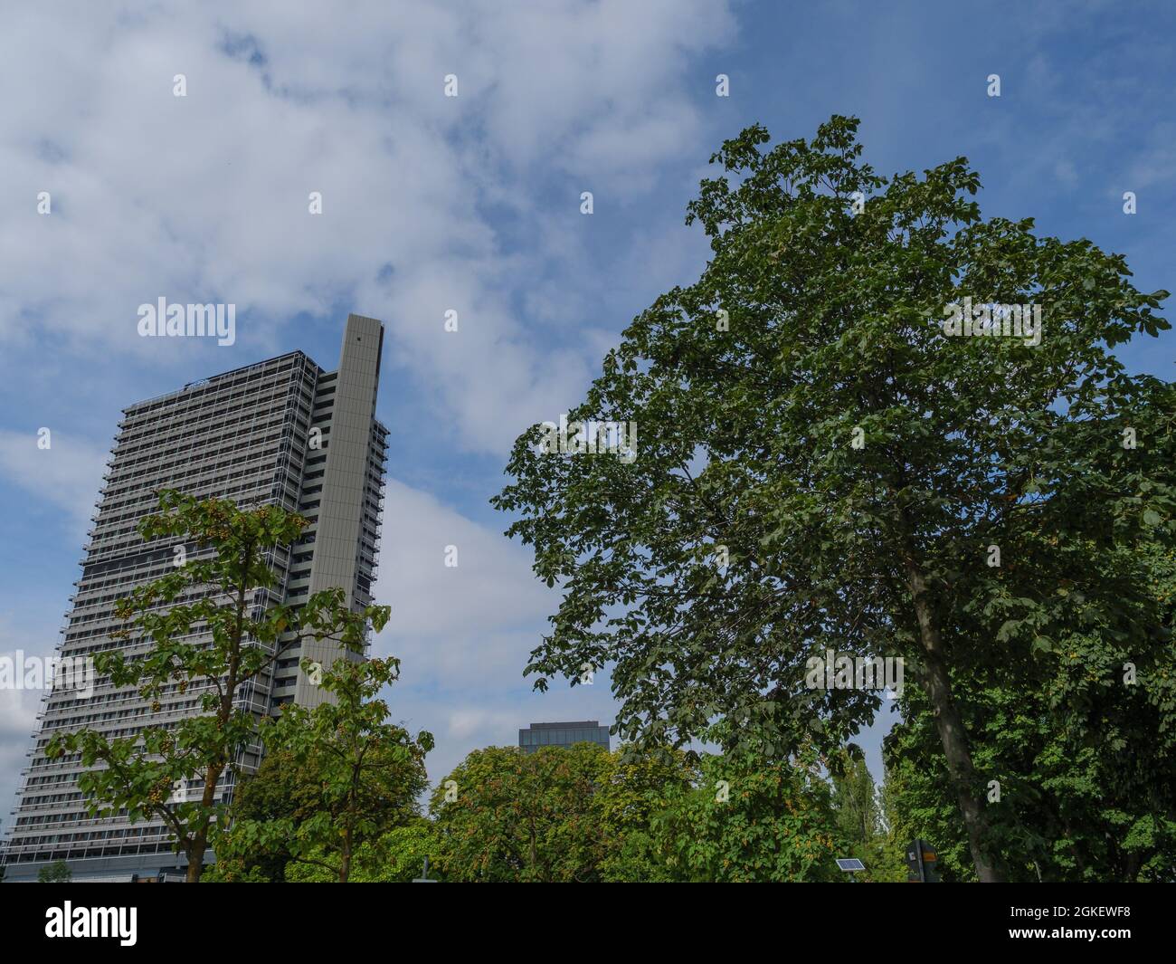 the city of Bonn and the river rhine Stock Photo - Alamy