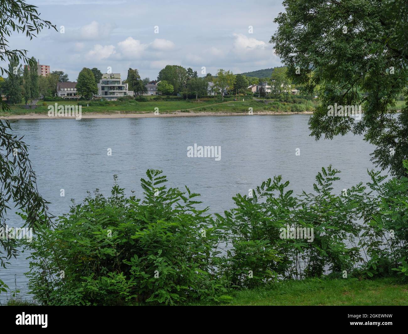 the city of Bonn and the river rhine Stock Photo - Alamy