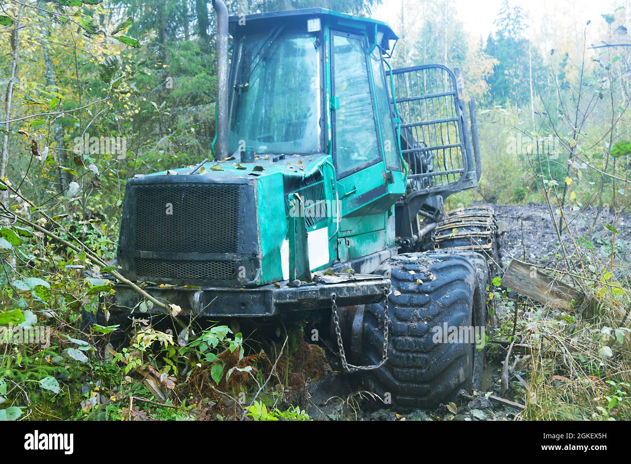 timber truck; log carrier car with a manipulator on special swamp ...