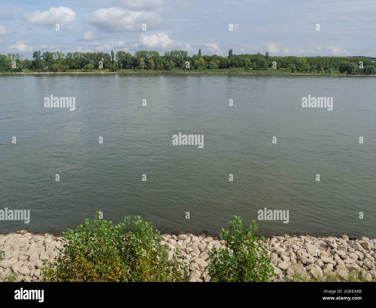 the city of Bonn and the river rhine Stock Photo - Alamy