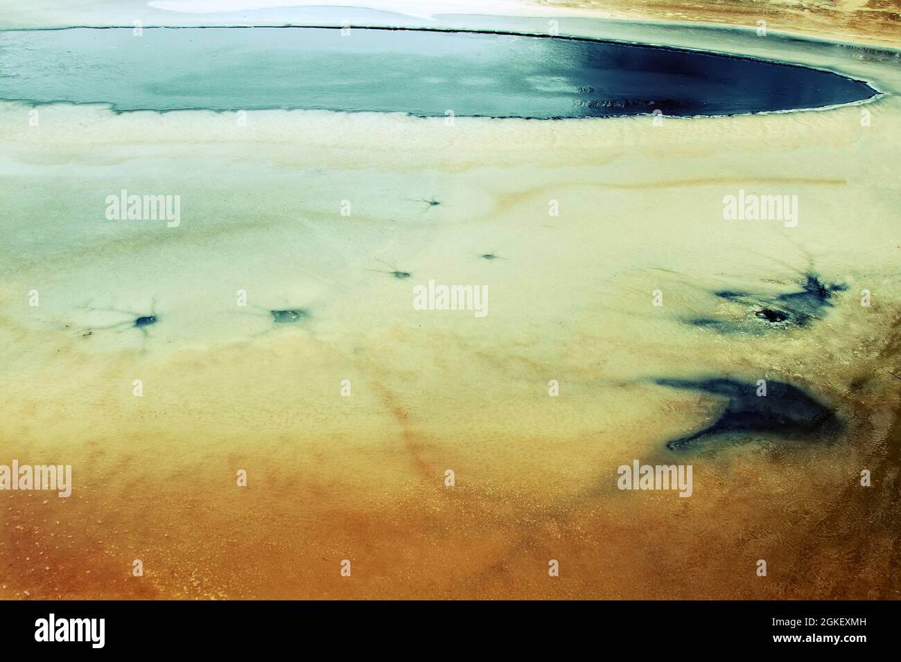 water opening (polynya), round thawing hole in ice among the rotten ...