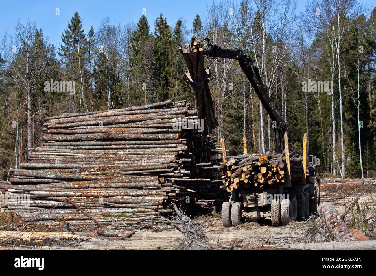 Forest industry. Operations for loading-unloading logging truck at ...