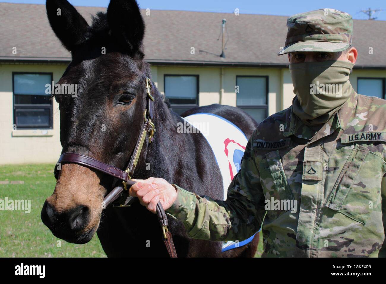 Pfc mascot hi-res stock photography and images - Alamy
