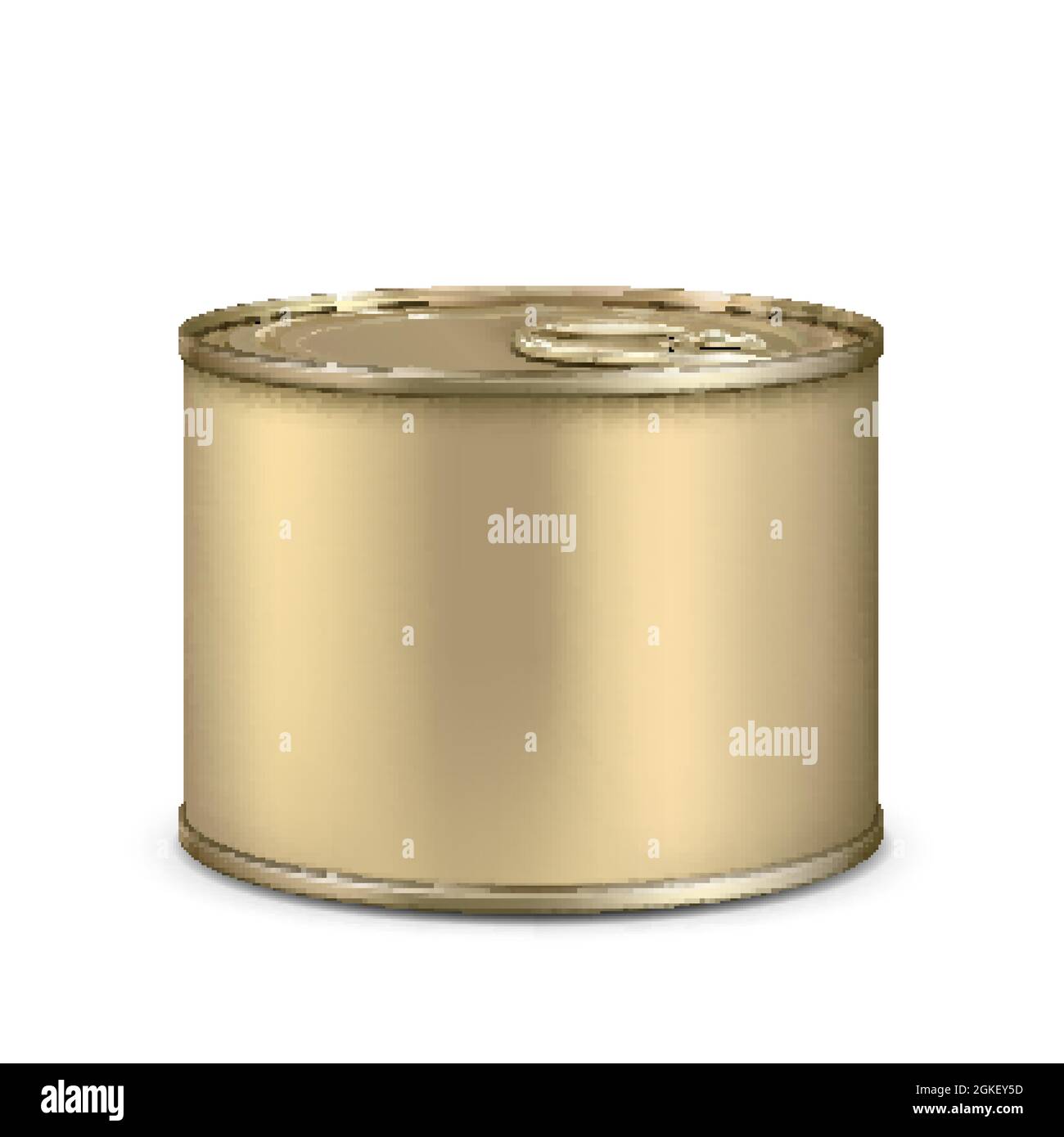 Blank Metallic Tin Can For Cooked Meat Vector Stock Vector Image & Art ...
