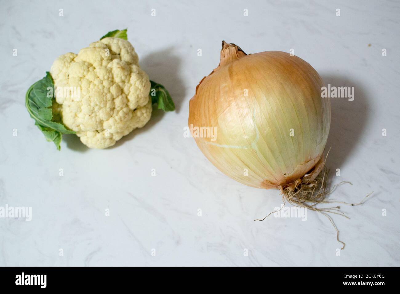 Size comparison relative size tiny small hi-res stock photography and ...